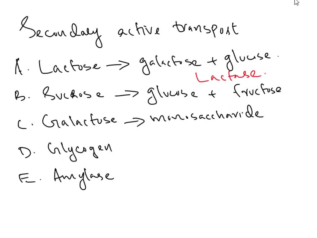 SOLVED: The active transport mechanism is used to absorb , whereas ...