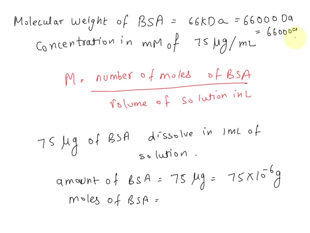 SOLVED Assuming That BSA Has A Molecular Weight Of 66 KDa What Is The SOLVED Assuming That BSA Has A Molecular Weight Of 66 KDa What Is The