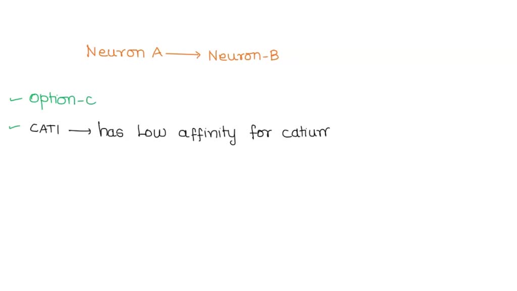 SOLVED: Pretend Neurotransmltter System Questlon The schematic below ...