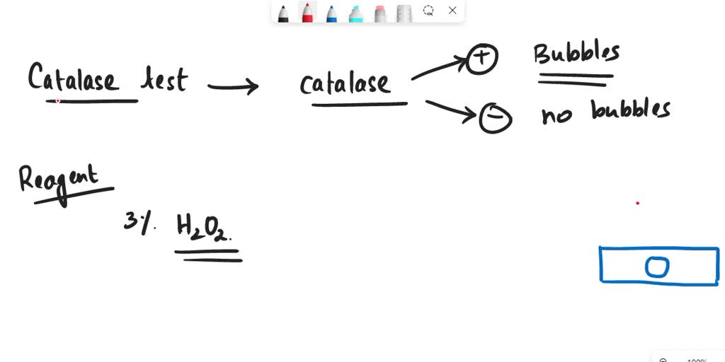 SOLVED: Pre-Lab Questions: Why would you observe bubbles in the ...
