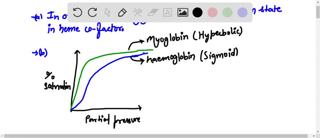 SOLVED: Explain what the distal and proximal histidines of myoglobin ...