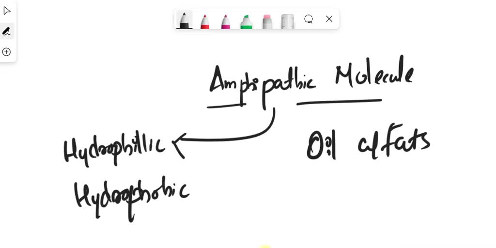 SOLVED: Which diagram illustrates an amphipathic molecule? Hcardan SOLVED: Which diagram illustrates an amphipathic molecule? Hcardan