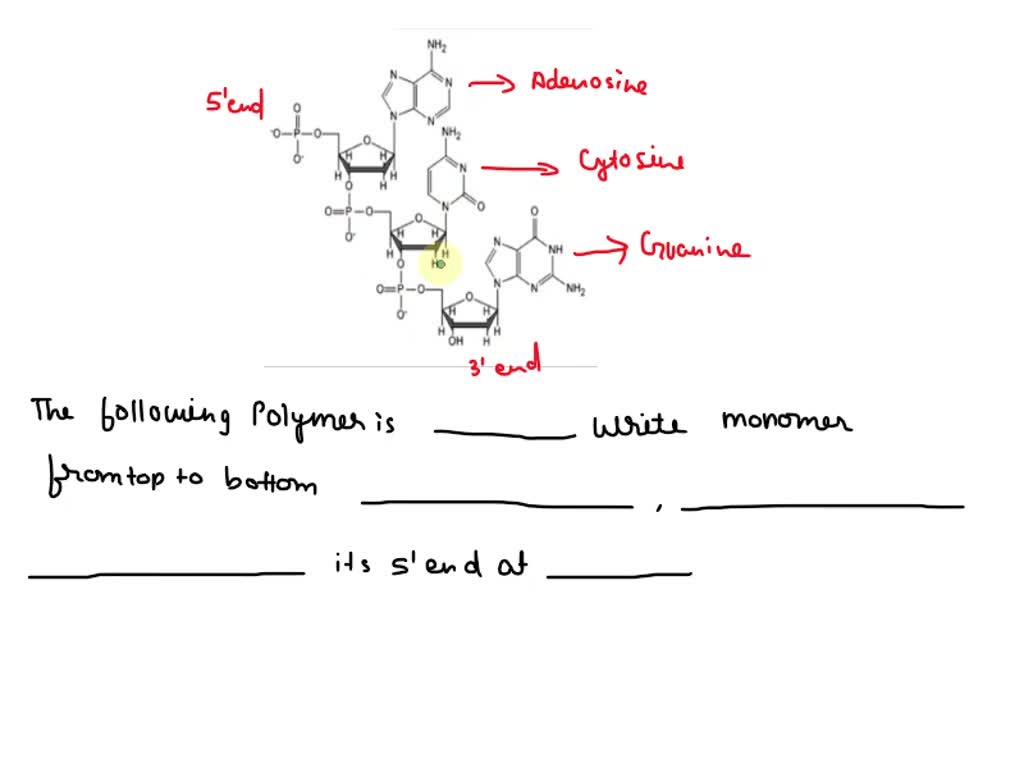 Guanine Monomer