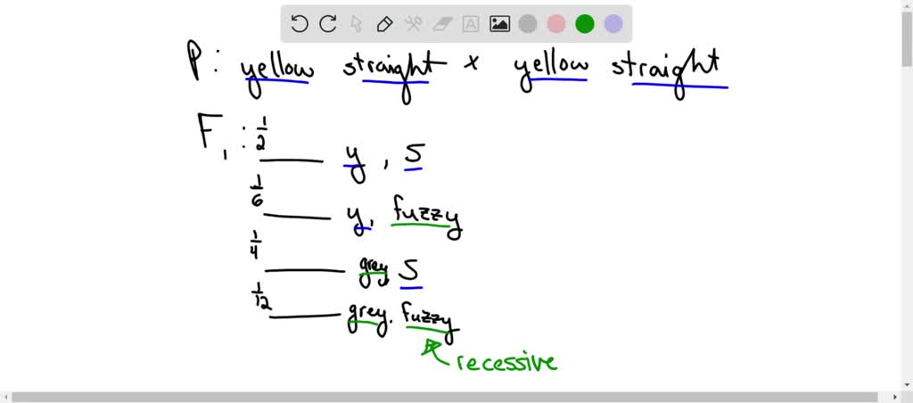 SOLVED: A typical Punnet square has four squares within it. If you were ...
