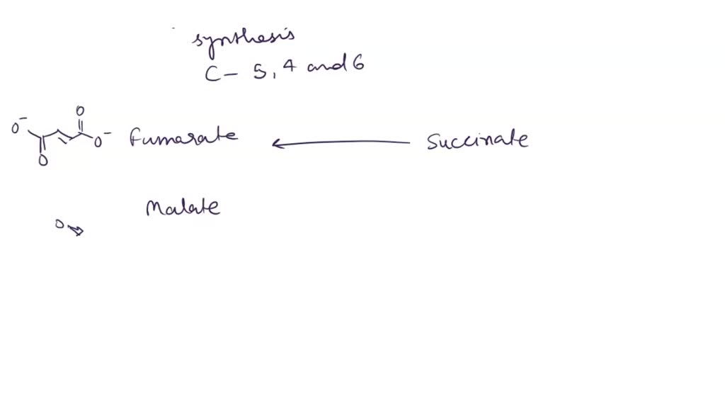 SOLVED: Predict the locations of 14C in Aspartate synthesis using the ... SOLVED: Predict the locations of 14C in Aspartate synthesis using the ...