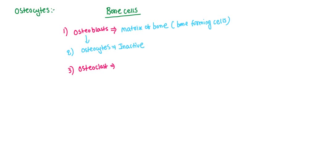 SOLVED: CARTILAGE/BONE LocaTiON Elastic cartilage Spongy bone ...