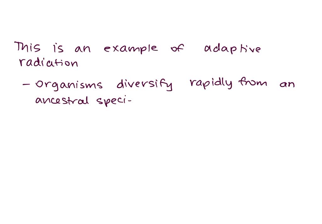 SOLVED: 1) Comparing Finches and Flies: The Hawaiian fruit flies and ...