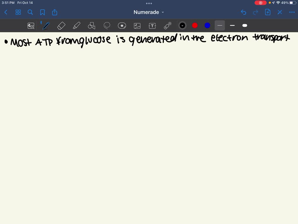 SOLVED: The bulk of ATP molecules are produced during which phase of cellular respiration? The ...