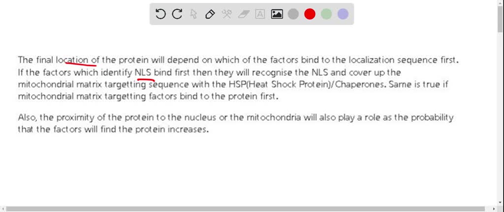 SOLVED: Where would a protein go if it had a mitochondrial matrix ...