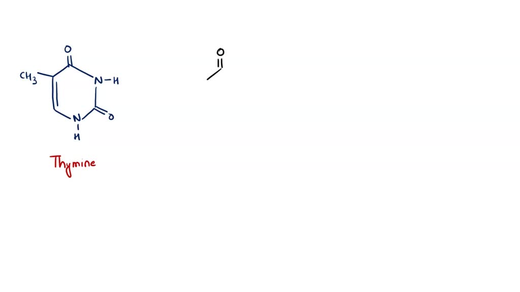 SOLVED:These are nucleotides that have a single ring structure. Example ...
