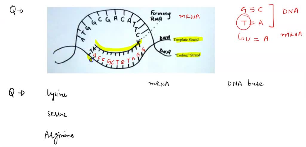 SOLVED: The coordinates given in the figure below from your textbook ...