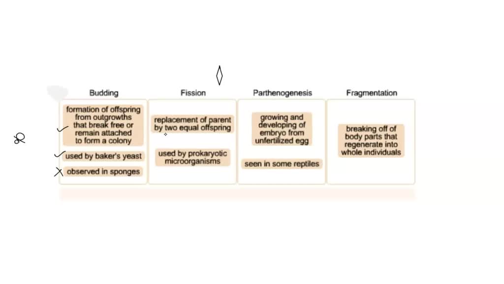 SOLVED: Identify characteristics of types of asexual reproduction ...