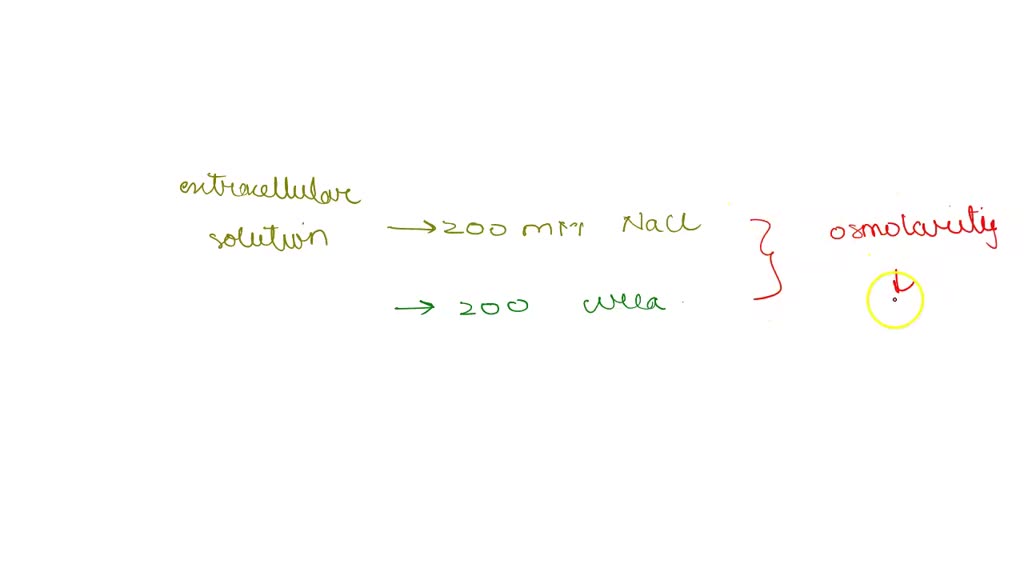 SOLVED: 300 mOsm/L 200 mM NaCl 200 mOsm/L Urea Use the image above to answer the next three ...