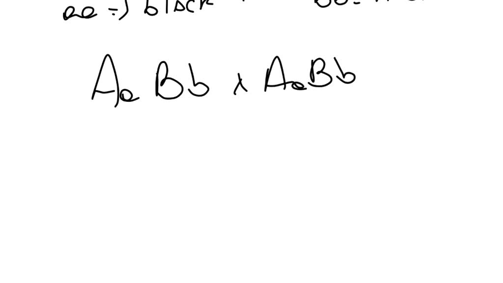 Two mice are heterozygous for albinism (Aa). The dominant allele (A ...