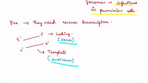 Positive-sense ssRNA negative-sense...