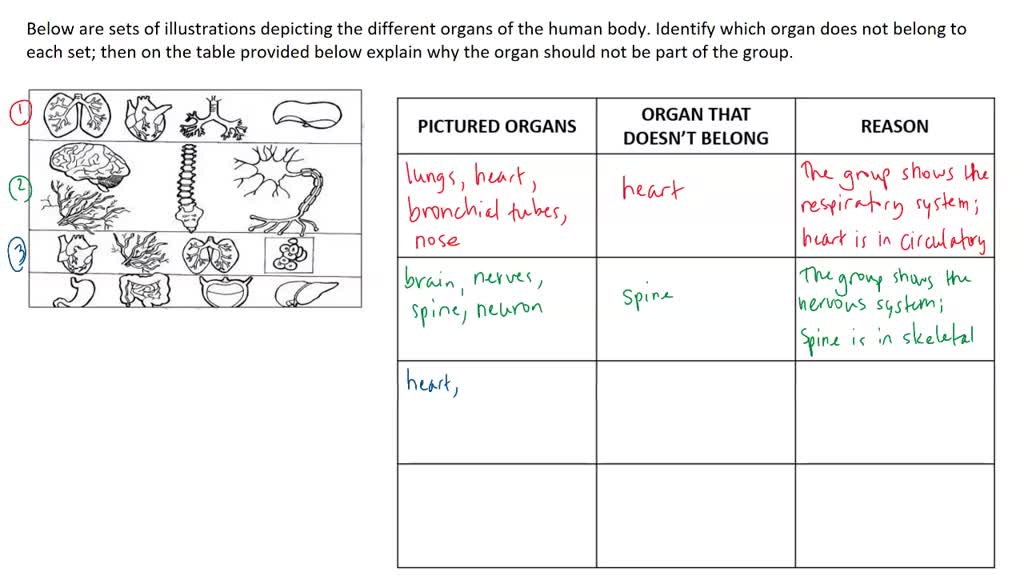 'which is not belong ? PROCEDURE: A. Below are sets of illustrations ...