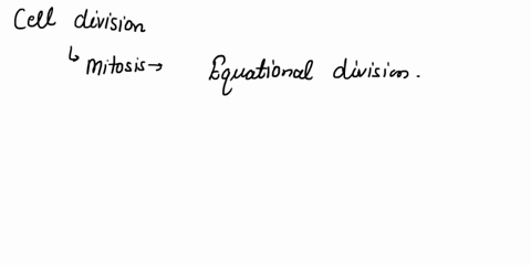 During mitosis one cell creates one identical cell two non...