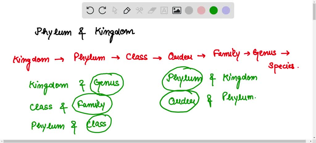 SOLVED: Organisms that belong to the same class must belong to the same ...