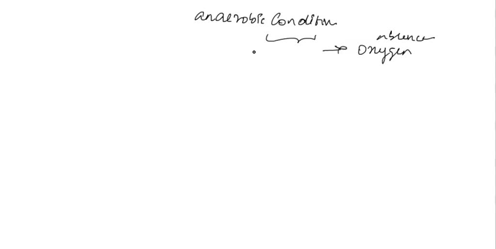 SOLVED: some facultative anaerobic bacterial species can perform three ...