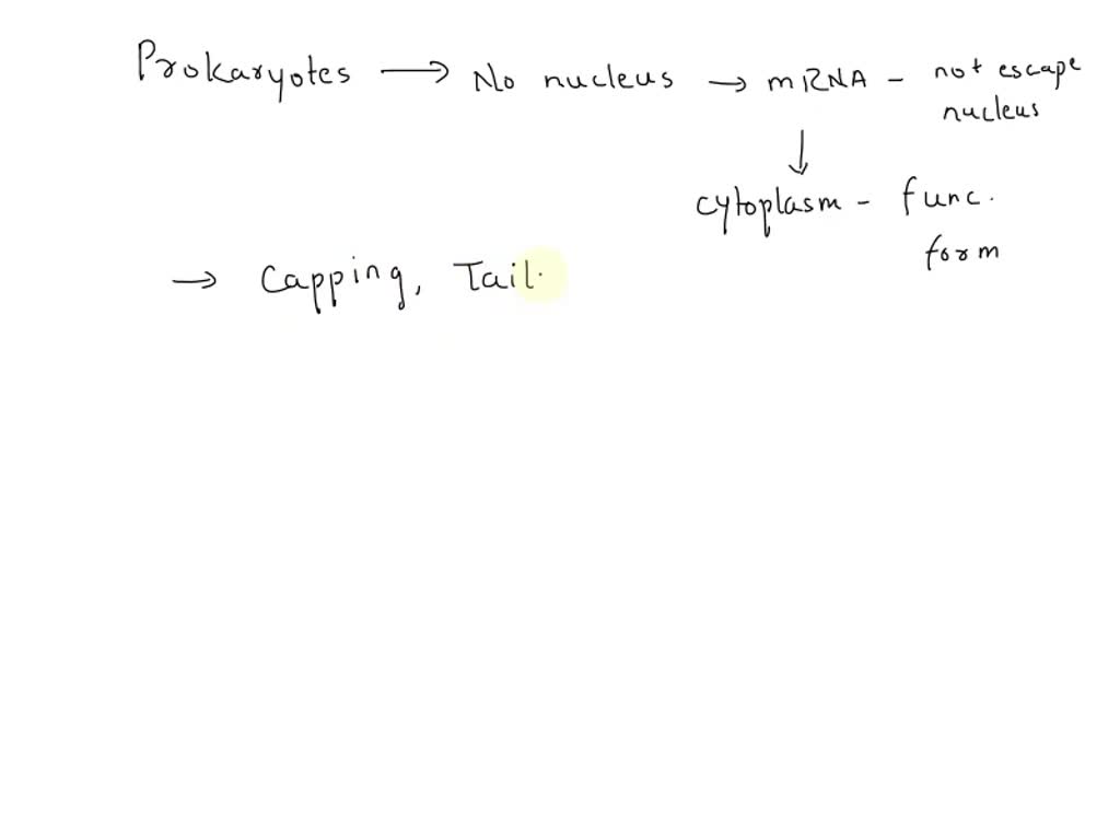 SOLVED: Question 30 (1 point) Which occurs in prokaryotes but not in ...