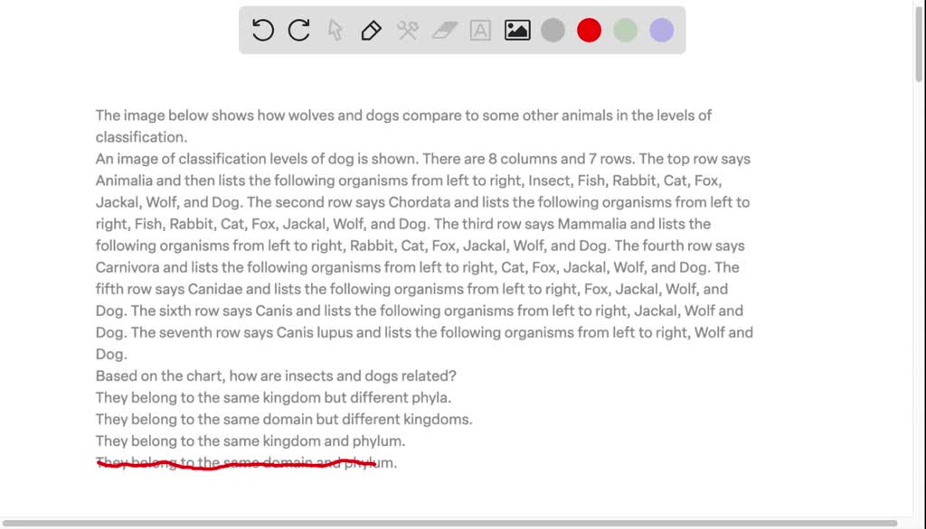 SOLVED: The image below shows how wolves and dogs compare to some other ...