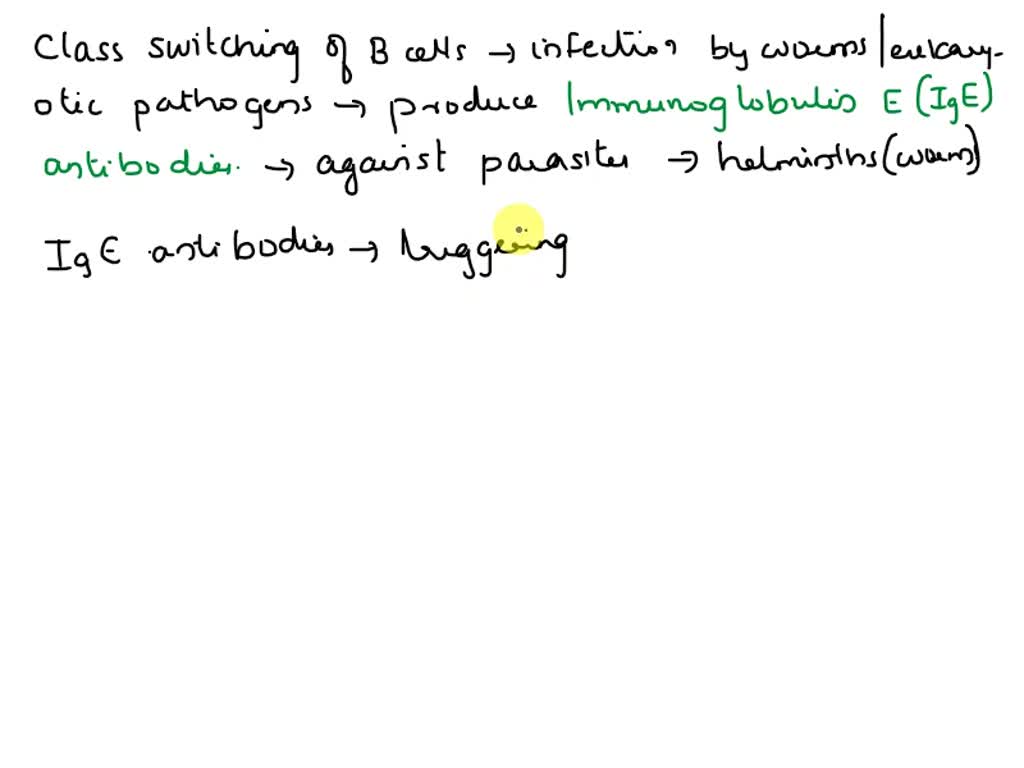 SOLVED: extra credit: class switching done by B cells in response to ...
