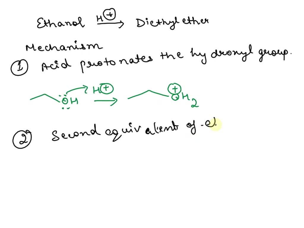 Describe the mechanism of the formation of diethyl ether from ethanol ...