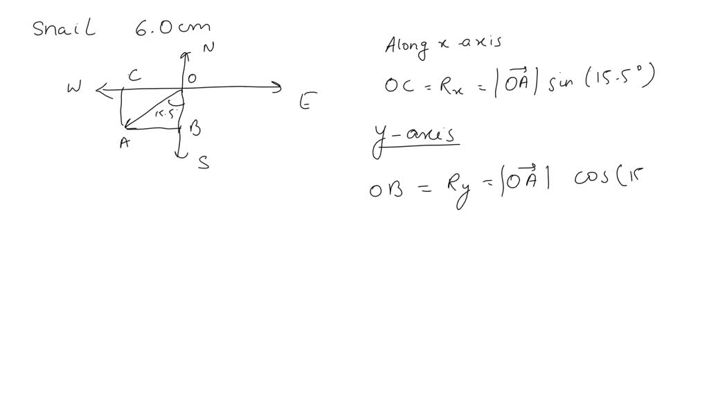 SOLVED: A snail wakes up, crawls in a straight line for 6.00 cm at a ...