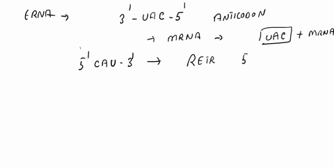 If the anticodon of an alanyl trna is igc inosine guanine...