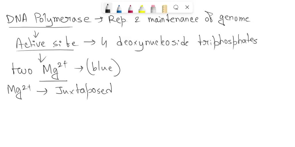 SOLVED: The DNA polymerase active site in the figure shows two blue ...