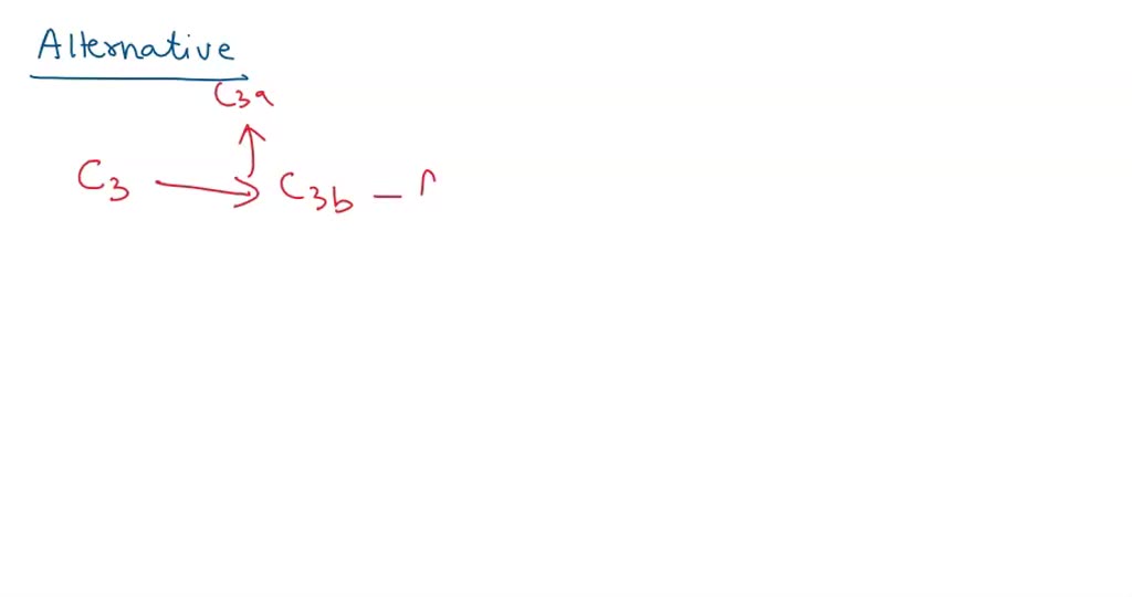 SOLVED: Texts: Match each of the following complement pathways with the convertase that ...