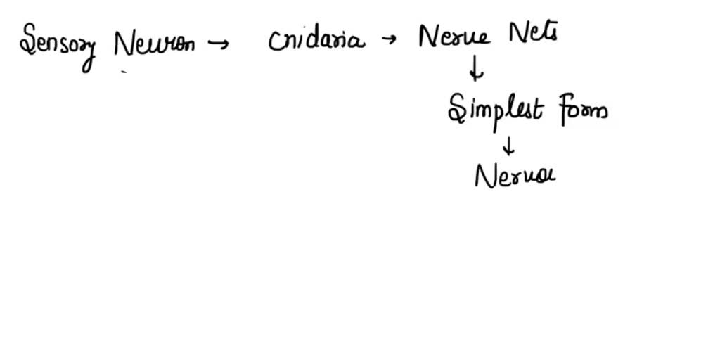SOLVED: The diagram below shows the structure of the flame cell in ...