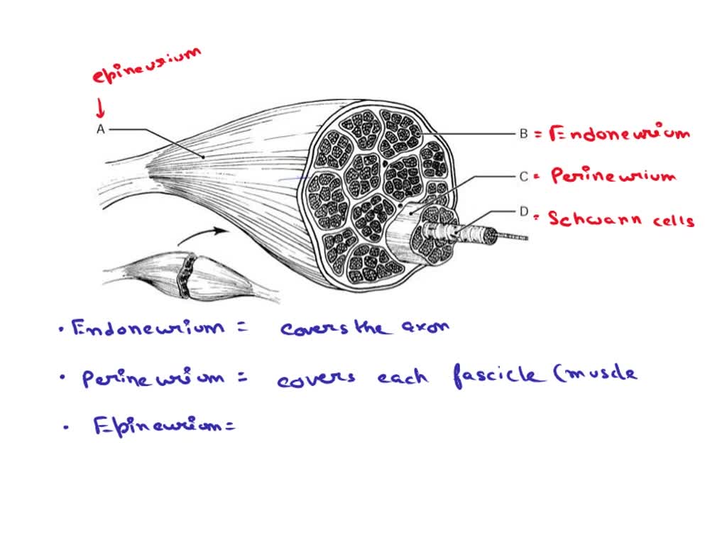 SOLVED: Figure 6-3 is a diagrammatic representation of a small portion ...