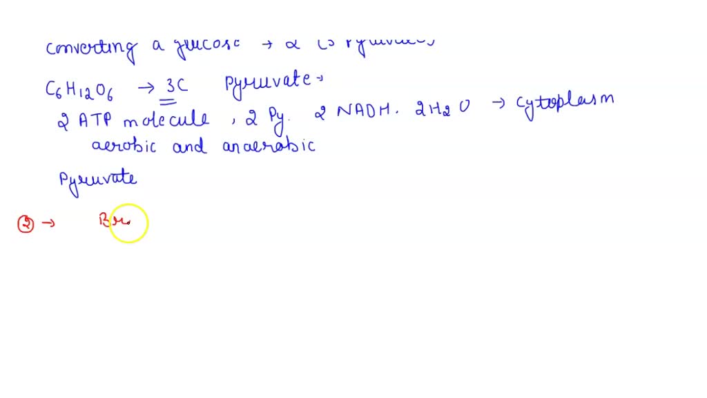 SOLVED: 39. What three-carbon structure formed by splitting glucose ...