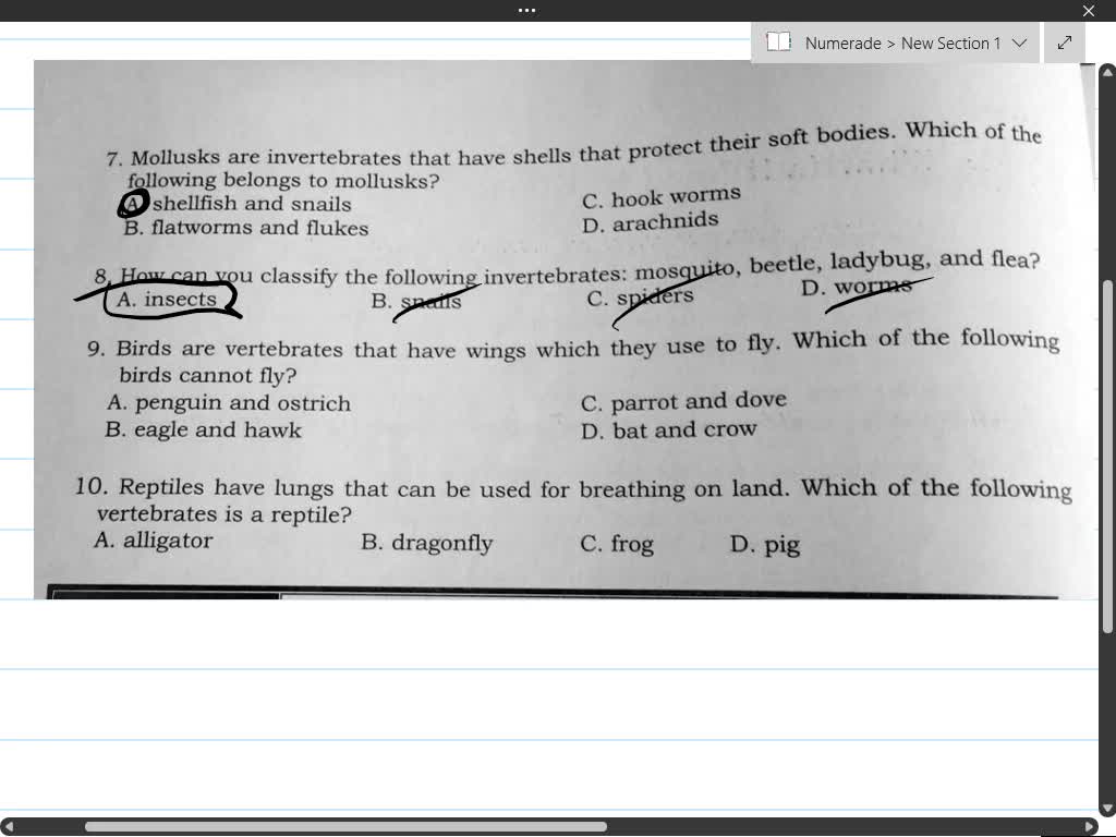 SOLVED: 'ACTIVE TO PASSIVE VOICEletter lang isasagot.please answer ...