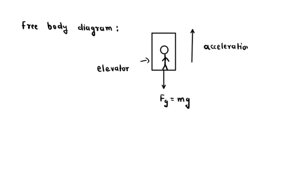 SOLVED: You are riding in an elevator that is accelerating upward ...