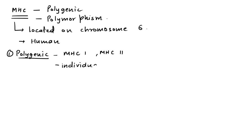 SOLVED: The MHC is polygenic and highly polymorphic. explain these ...