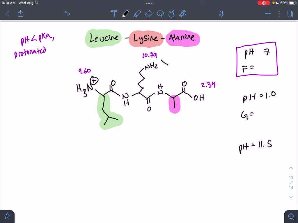 SOLVED: E. What is the overall charge of the most abundant tripeptide ...