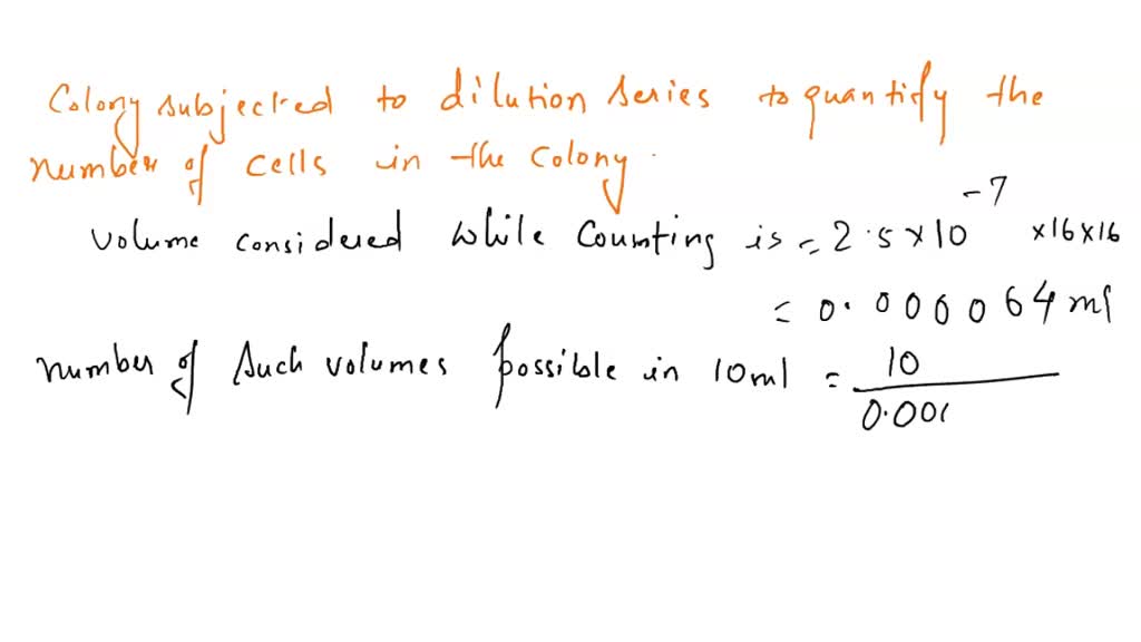 SOLVED: More Practice Calculations and Critical Thinking Questions 1.0 mL placed in 99 mL of ...