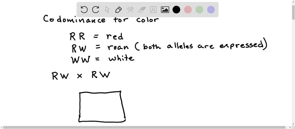 In Shorthorn cattle, when a red bull (RR) is crossed with a white cow ...