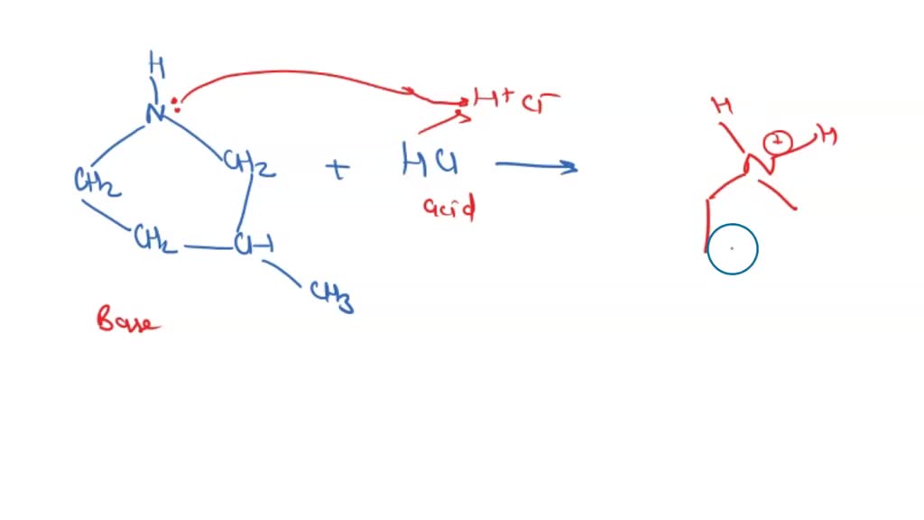 SOLVED: Modify the structures to show the bonds broken and formed in each acid-base reaction ...