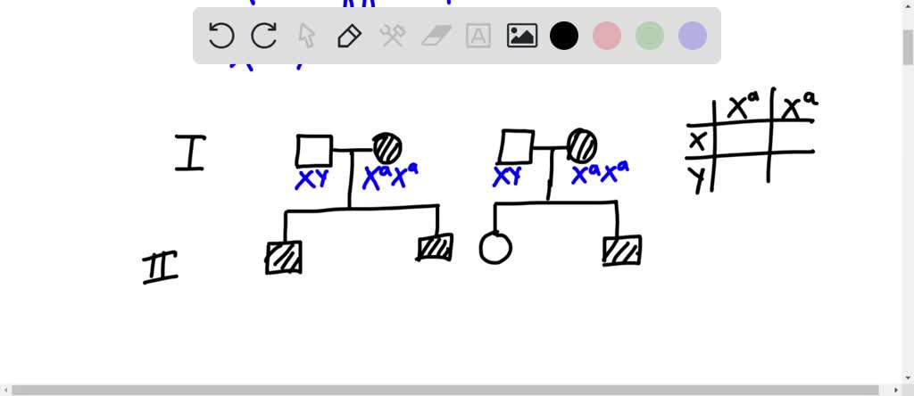 SOLVED: Text: Study the pedigree below and predict the genotype and ...