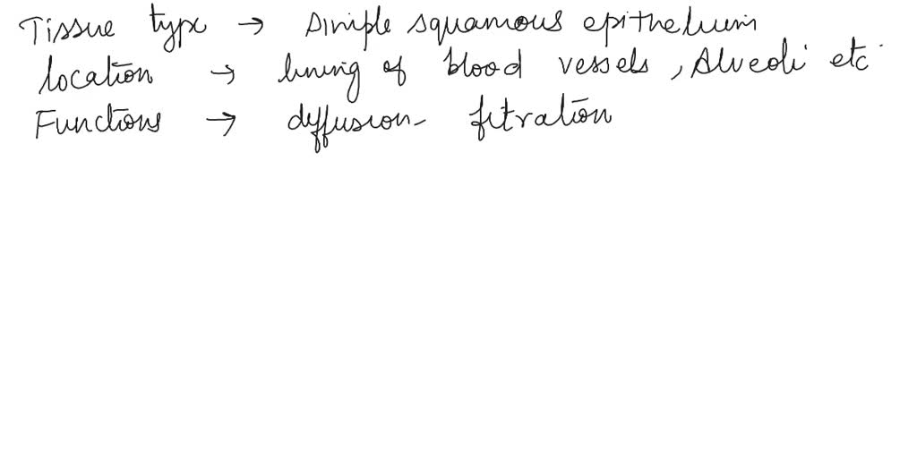 SOLVED: PART 5. ANIMAL TISSUE CHART Fill in the following chart about ...