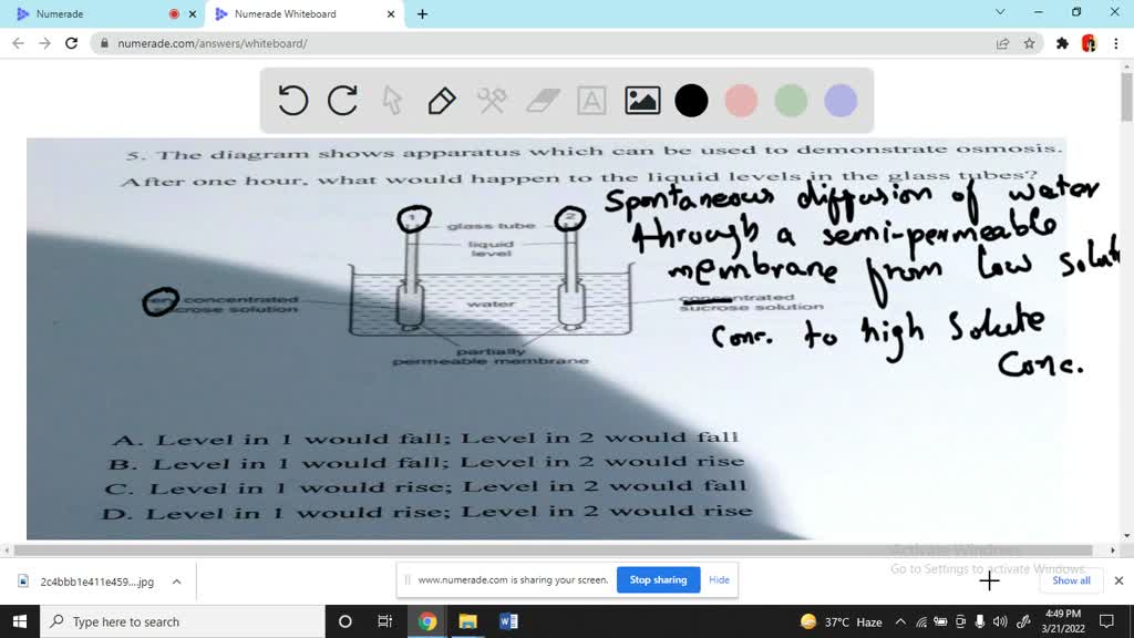 SOLVED: Please help me with question five. 5. The diagram shows ...