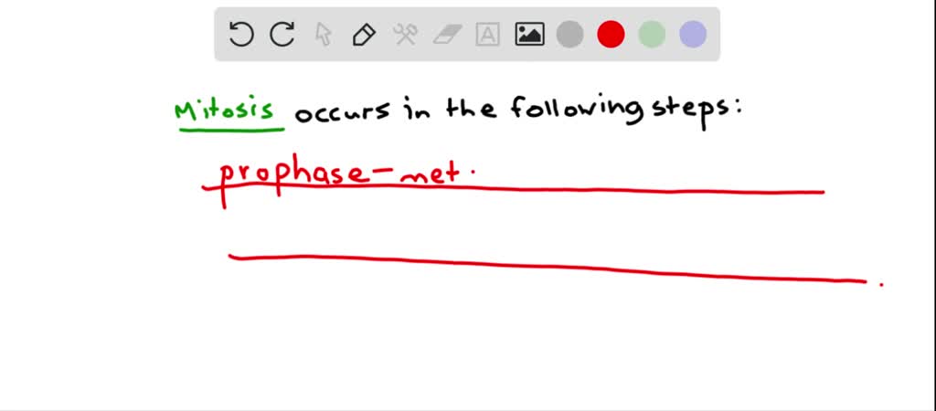 SOLVED:Describe the sequence of mitotic cell cycle for one pair of ... SOLVED:Describe the sequence of mitotic cell cycle for one pair of ...