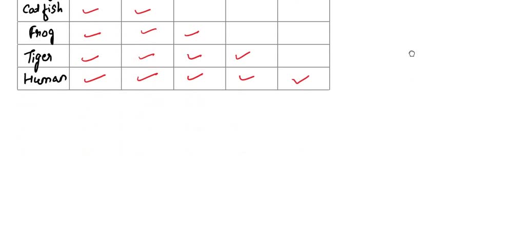 SOLVED: 2. Create Your Own Cladogram To make a cladogram, you must first look at the animals you ...