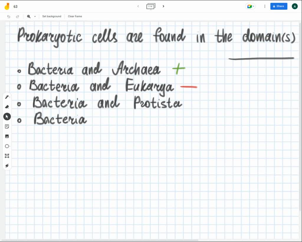 SOLVED: Bacteria and Archaea Bacteria and Eukarya Bacteria and Protista ...