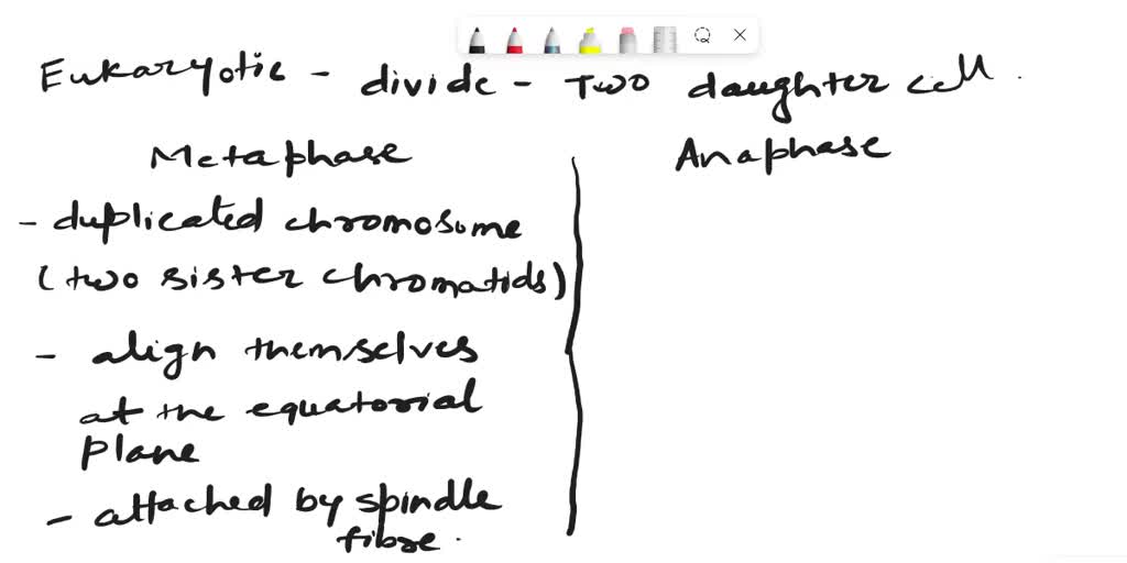 SOLVED: Describe key differences between metaphase and anaphase. SOLVED: Describe key differences between metaphase and anaphase.