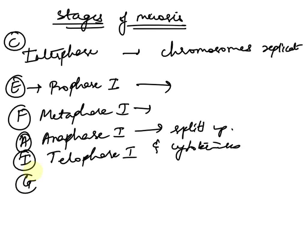 Solved Which Of The Following Rows Identifies Process X And Process Y As Shown In The Diagram