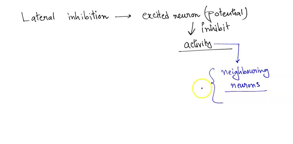 SOLVED:21. What is lateral inhibition? a. Neural mechanisms that ...